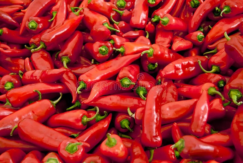 Heap of Ripe Big Red Peppers Stock Image - Image of market, heap: 20128305