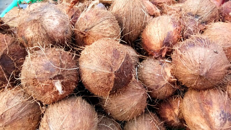 A Heap of Ripe Coconuts Stacked Together Stock Image - Image of macro ...