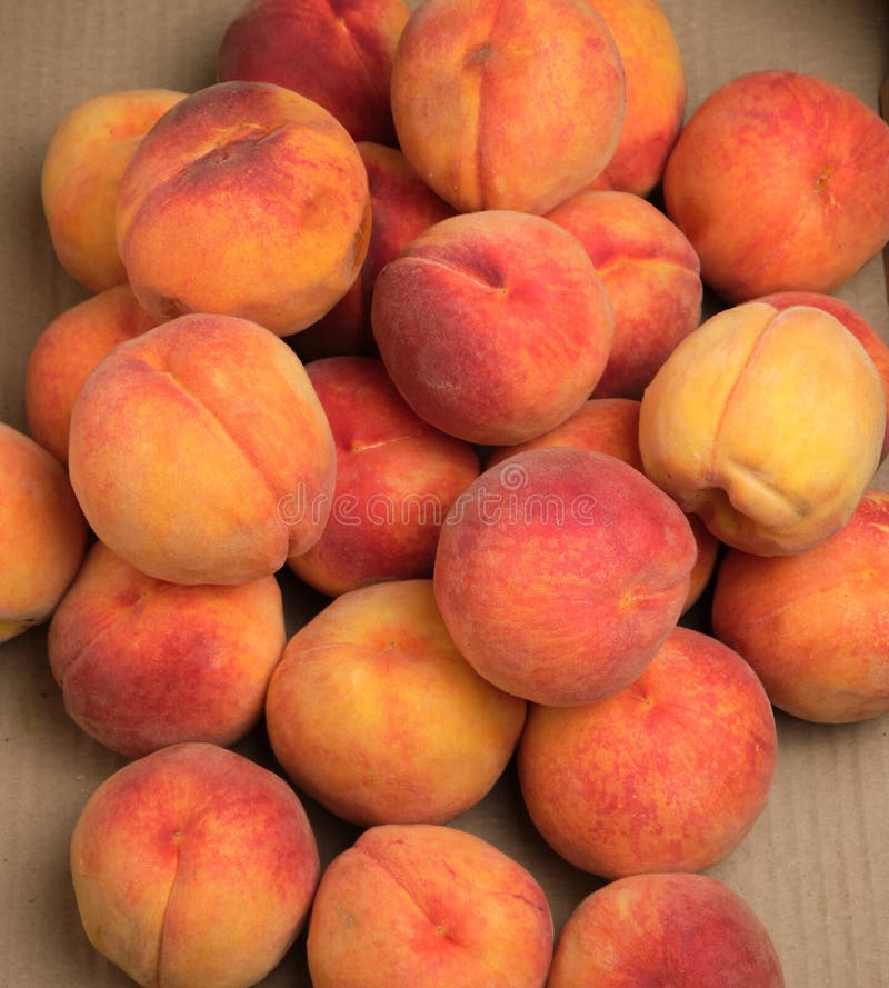 Round Peaches on White Background Stock Image - Image of drop, round ...