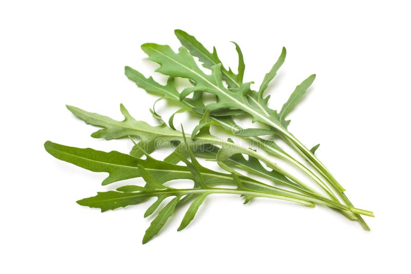 Ruccola Leaves Isolated on White Background Stock Image - Image of ...