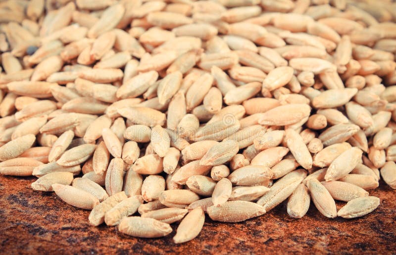 Heap of Rye Grains on Old Background Structure Stock Image - Image of ...