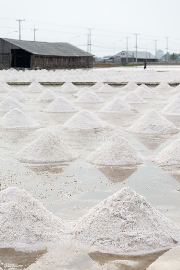 Field of salt pan stock photo. Image of asia, mineral - 30070772