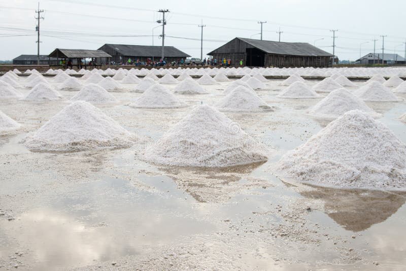 Field of salt pan stock photo. Image of saline, condensation - 30070774