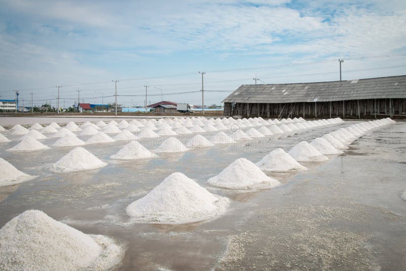 Field of salt pan stock image. Image of salted, pans - 30070817