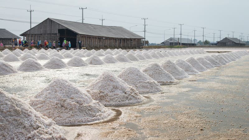 Field of salt pan stock image. Image of field, rural - 30070843
