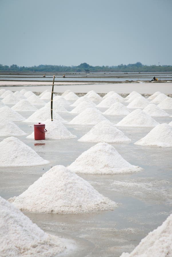 Field of salt pan stock image. Image of field, rural - 30070843