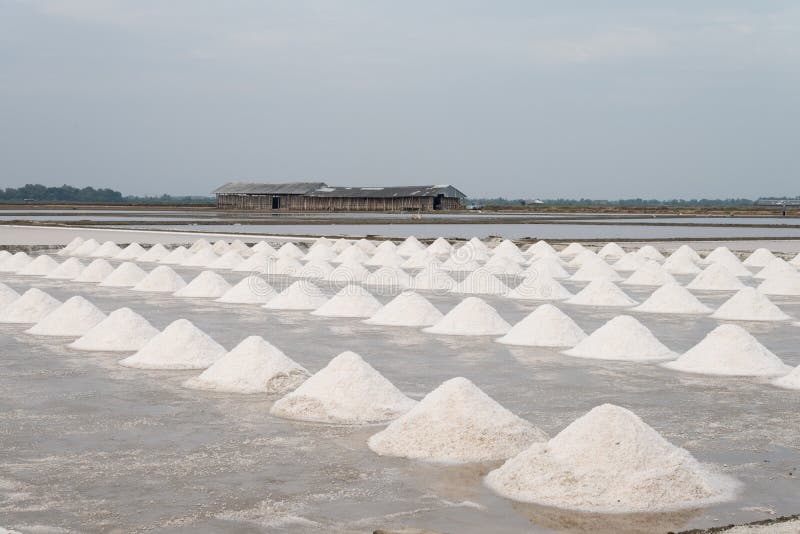 Field of salt pan stock image. Image of tropical, salt - 30071257
