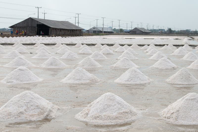 Field of salt pan stock image. Image of business, view - 30071259