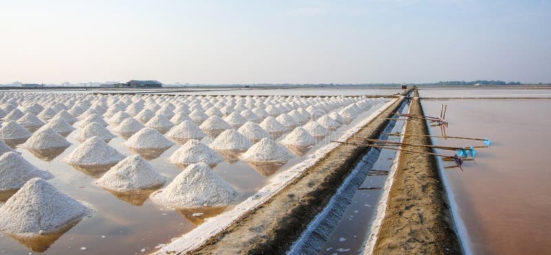 Heap of Sea Salt in a Field Stock Photo - Image of asia, outdoor: 66606744