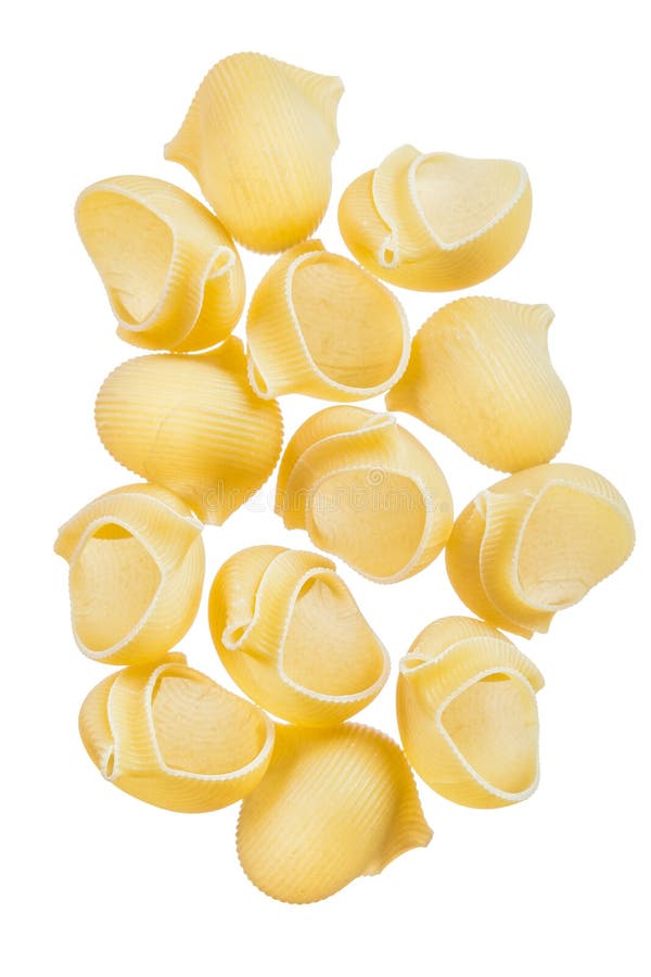 Heap of Short-cut Pasta Shells Isolated on White Stock Image - Image of ...