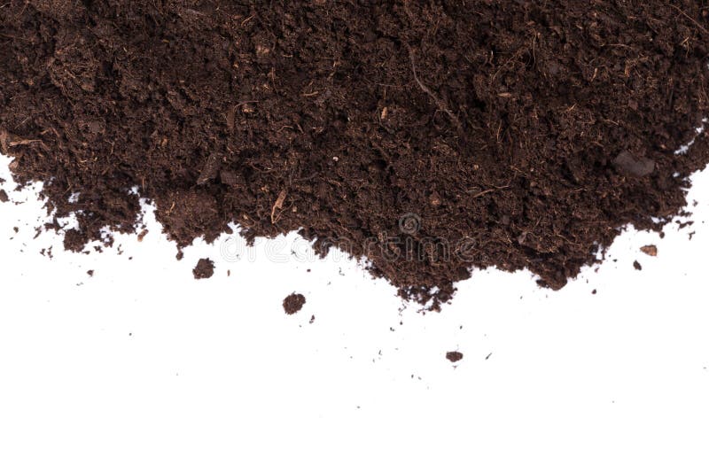 Patch of Soil or Mud Isolated on White Background Stock Image - Image ...