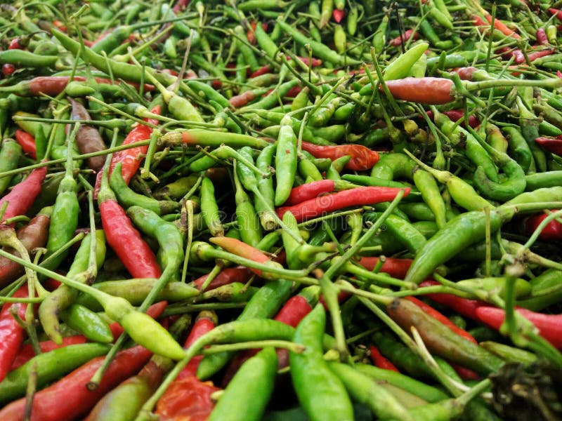 Heap of spicy chilli stock photo. Image of ingredients - 84971942