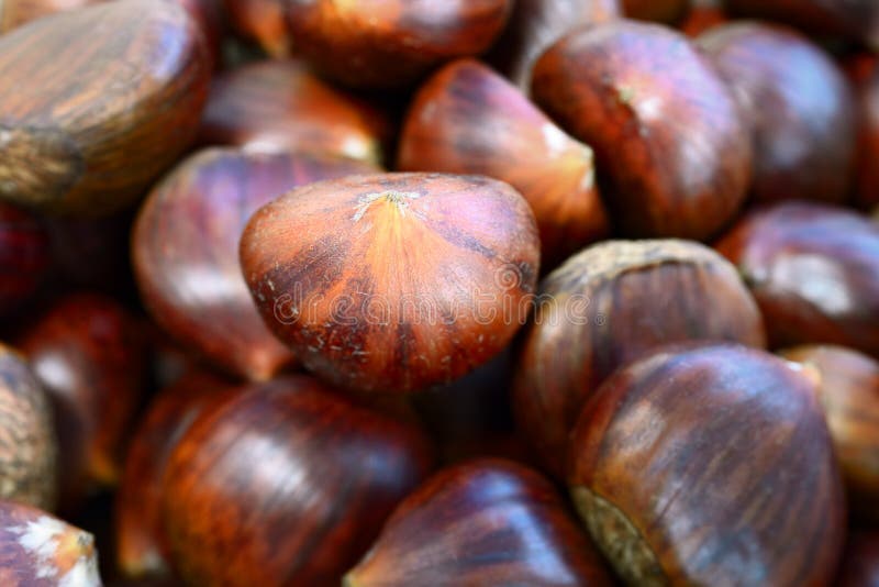 Heap of sweet chestnuts stock image. Image of food, chestnut - 22067181