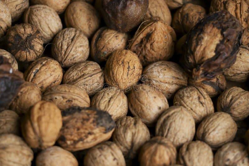Dirty Wallnuts Stock Photos - Free & Royalty-Free Stock Photos from ...