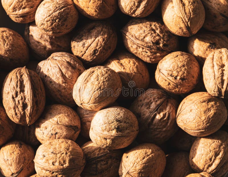 Walnuts in shells stock photo. Image of close, brown - 112065584