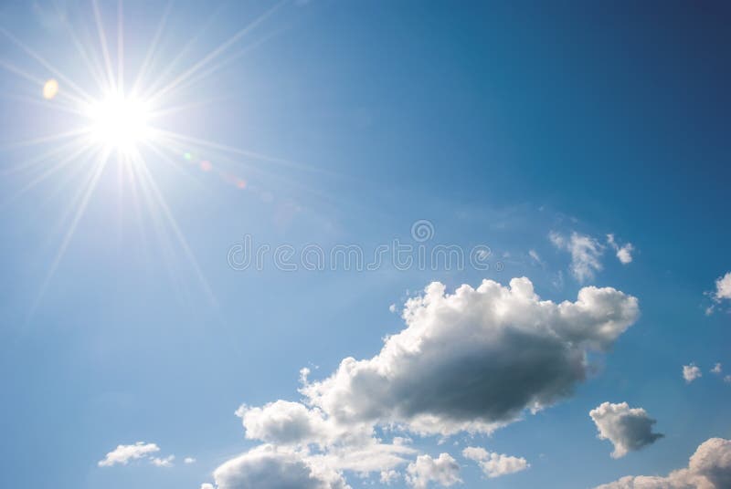 Rays of the Sun Glare Green Leaf Buds Branches Spring Stock Photo ...