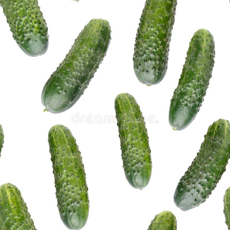 Heap of Whole Cucumbers Isolated on White. Top View. Vegetable ...