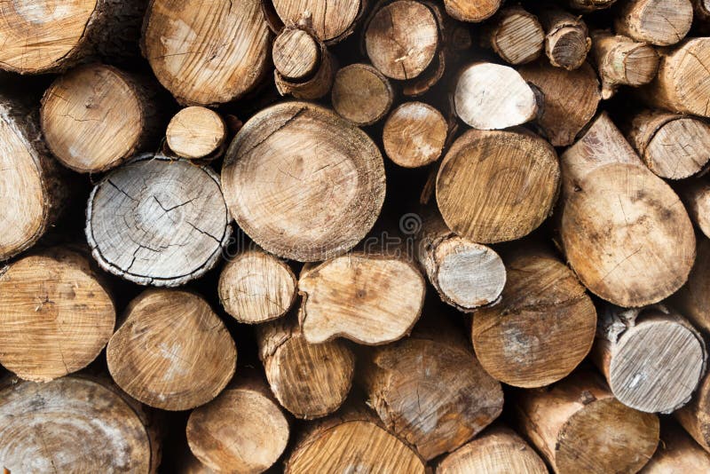 Heap of wood log stock image. Image of autumn, forest - 133721461