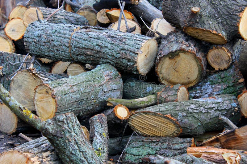 Heap of wood stock photo. Image of heap, environmental - 82529546