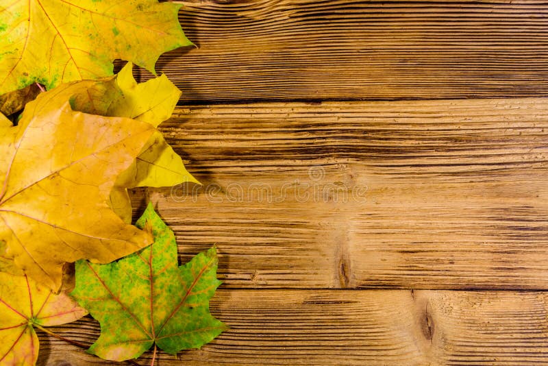 Heap of the Yellow Maple Leaves on a Wooden Table. Top View Stock Photo ...