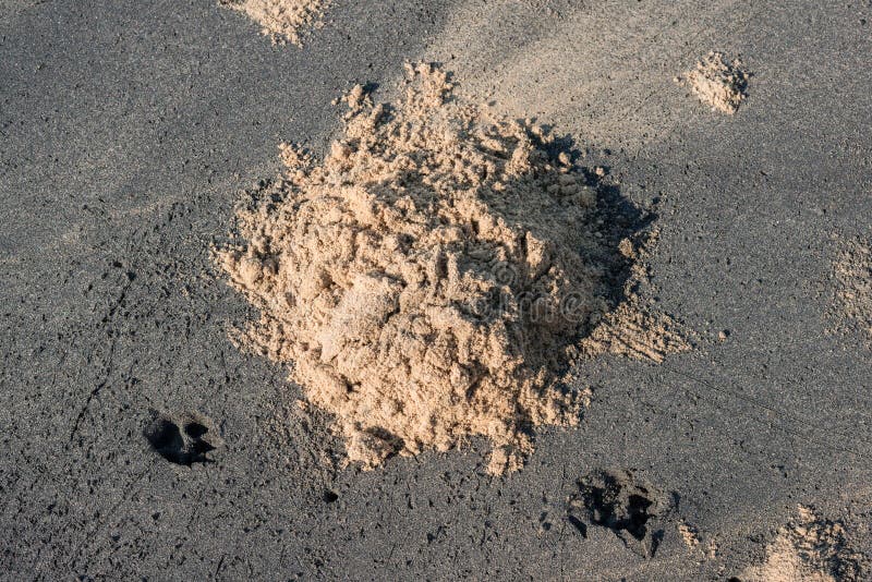 Heap of Yellow Sand on Black Stock Image - Image of mineral, pile: 32934943