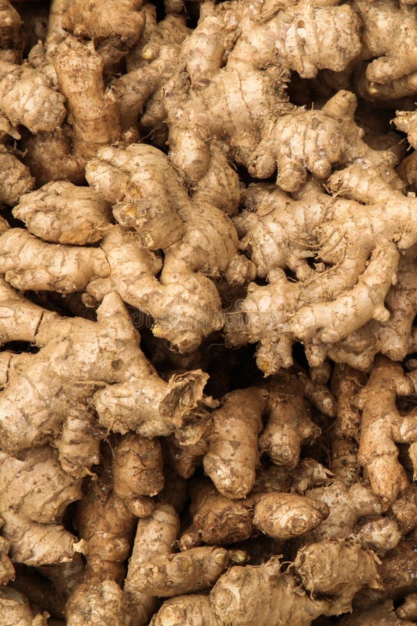 Heaped Up Ginger Root Stacked Up Stock Image - Image of cooking ...