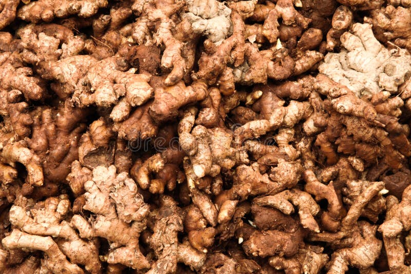 Heaped up ginger root stock image. Image of ginger, aroma - 67564179
