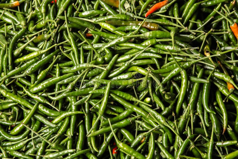 Heaped Up Pile of Green Chillies Stock Photo - Image of gourmet, paleo ...