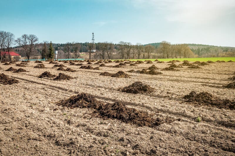 Heaps of Agricultural Manure on the Country Field Stock Image - Image ...