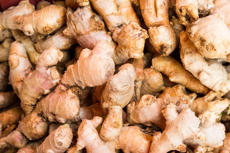 Heaps of Freshly Harvested Old Ginger Roots Stock Image - Image of ...