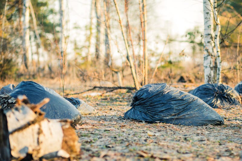 Heaps of Garbage Bags Thrown Out in the Woods Stock Photo - Image of ...