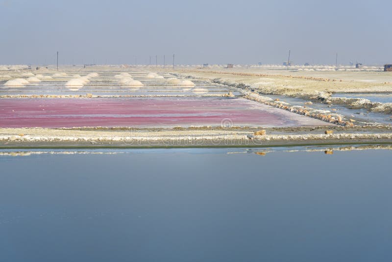 300 Sambhar Lake Stock Photos - Free & Royalty-Free Stock Photos from ...