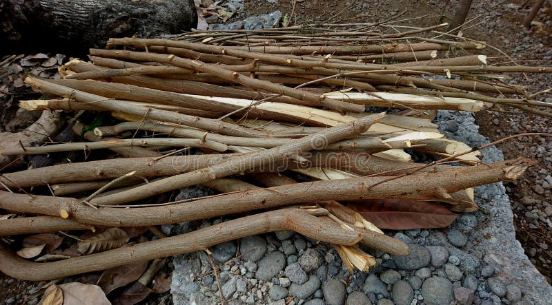 Heaps of Tree Branches for Firewood on the Rocks Stock Image - Image of ...