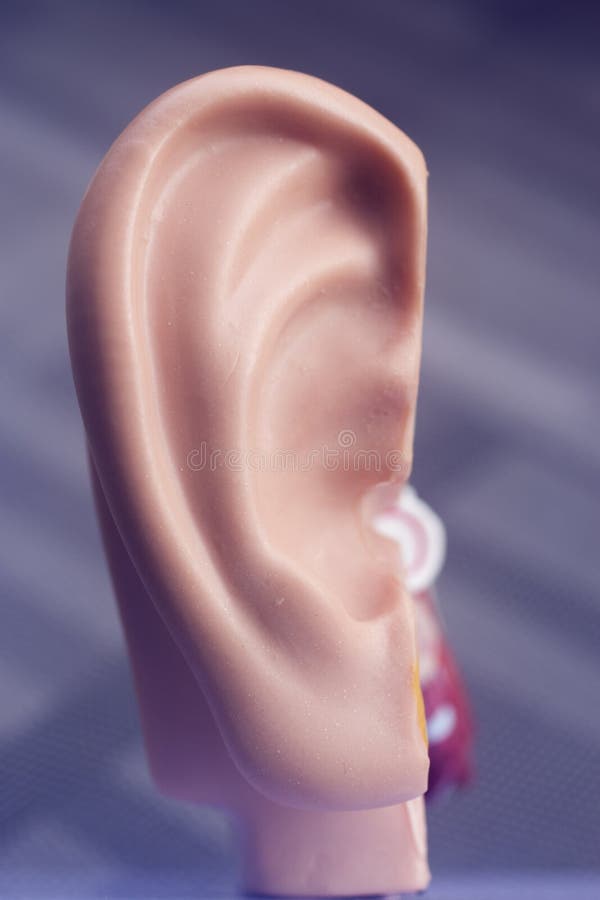 Hearing ear medical model stock image. Image of deaf - 203131365