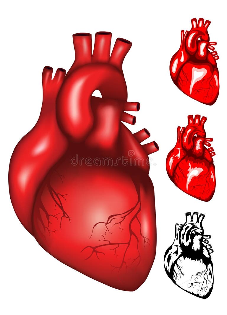 Dead Heart Cartoon Stock Illustrations – 1,224 Dead Heart Cartoon Stock ...