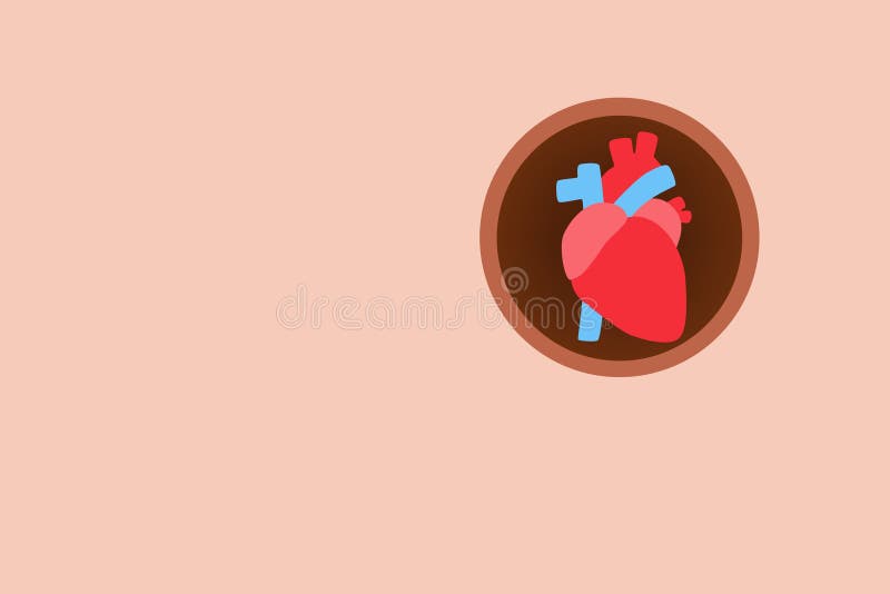 The Isolated Normal Heart in the Chest Stock Illustration ...