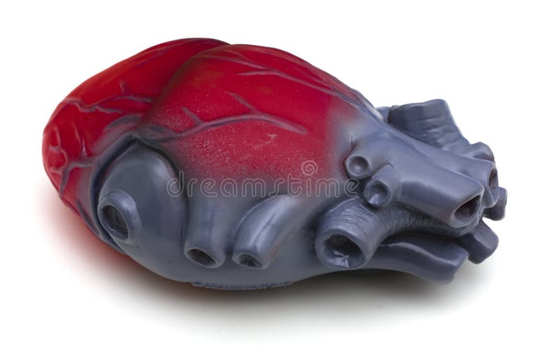 3,389 Human Heart Beat Gif Stock Photos - Free & Royalty-Free Stock ...