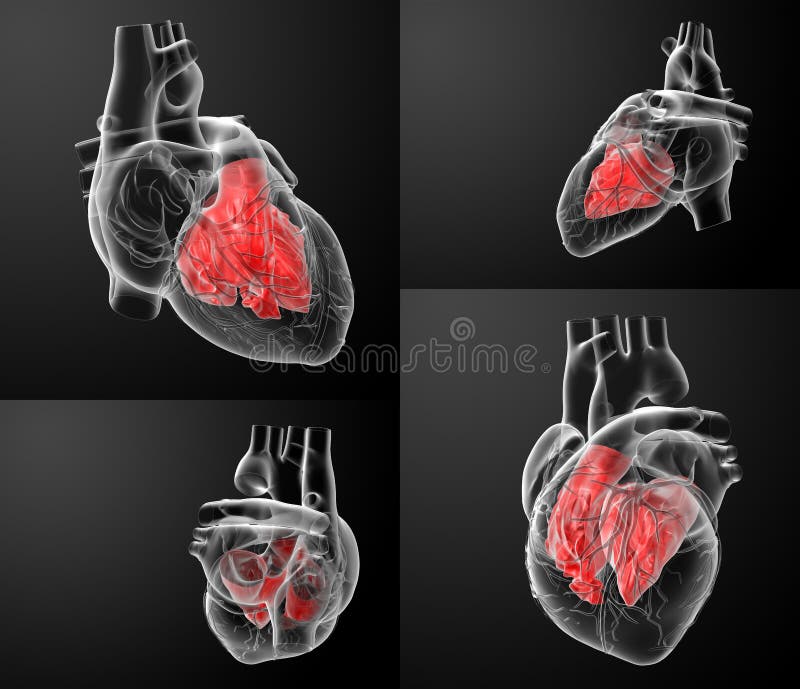 Heart atrium stock illustration. Illustration of care - 82857145