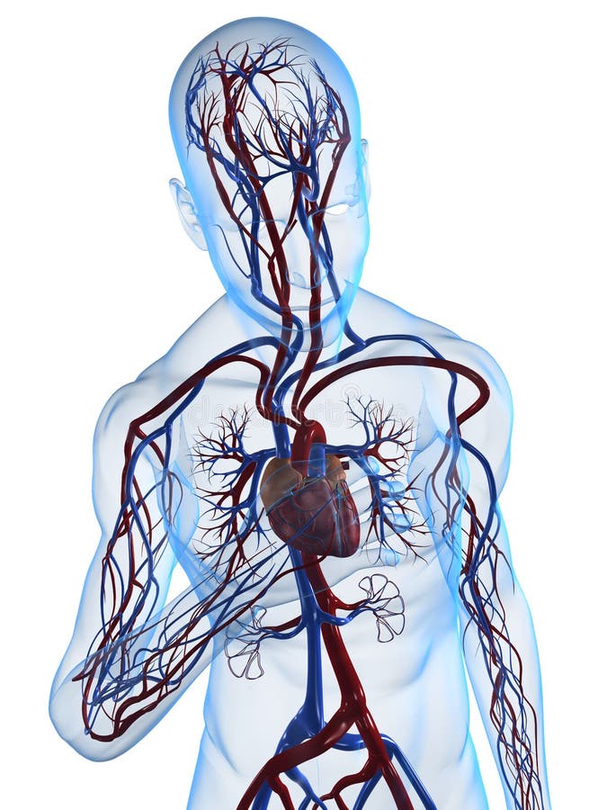 Heart attack stock illustration. Illustration of disease - 8856896