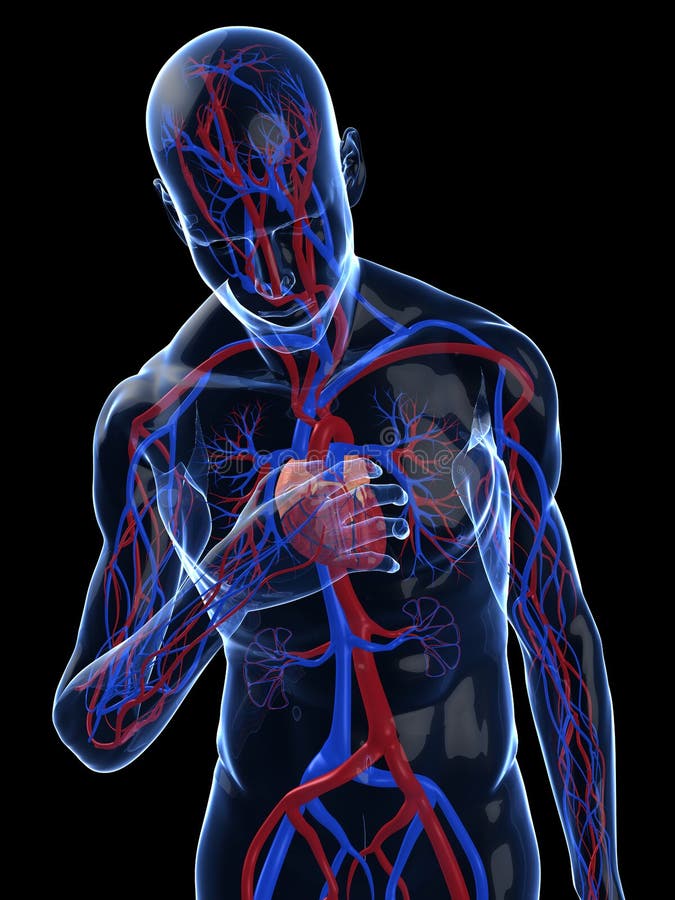 Heart attack stock illustration. Illustration of healthcare - 8856952