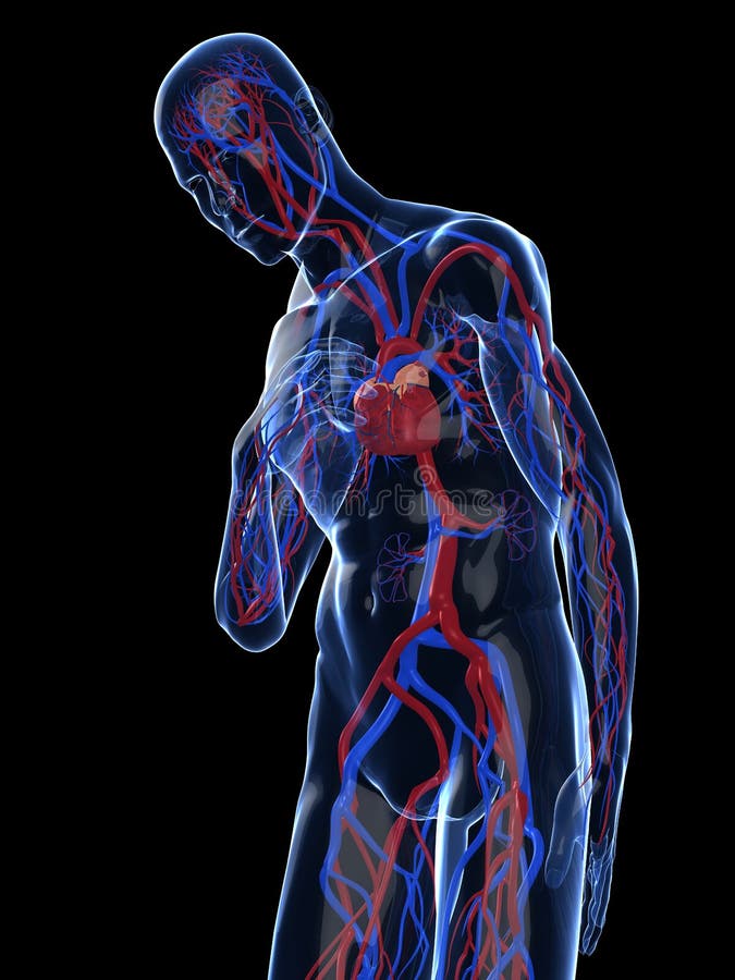 Heart attack stock illustration. Illustration of disease - 8857696