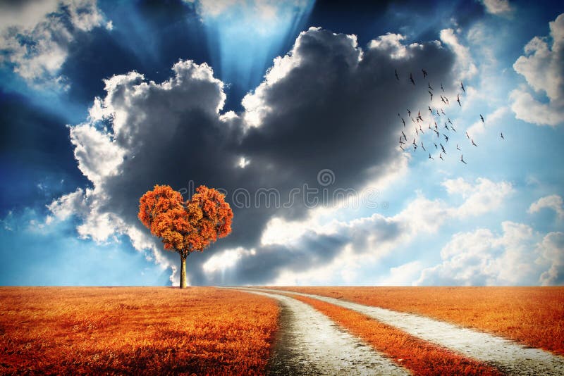 Heart Autumn Tree and Heart Cloud Stock Photo - Image of tree, fall ...