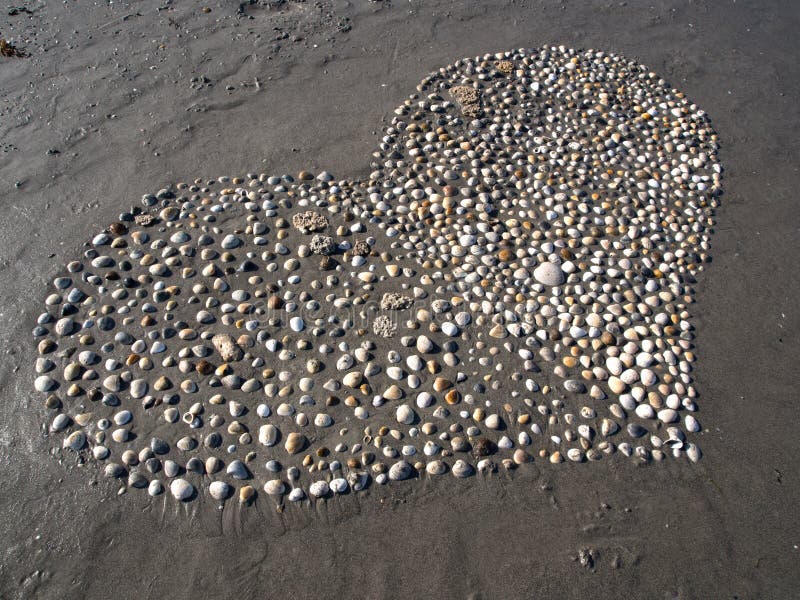 Cocoa Beach Shells Stock Photos - Free & Royalty-Free Stock Photos from ...