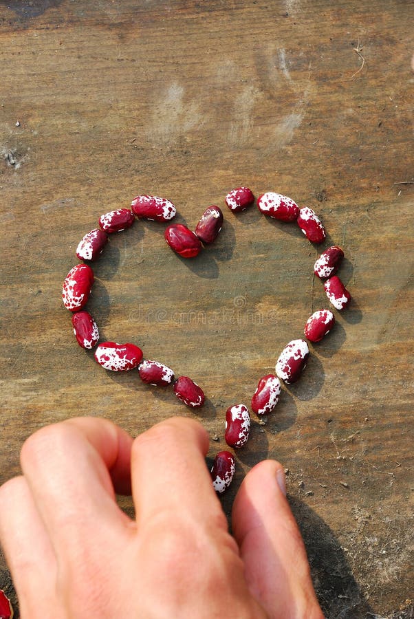 Heart of beans stock image. Image of health, beans, amour - 33144033