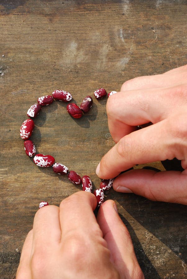 Heart of beans stock photo. Image of health, vegetable - 33144056