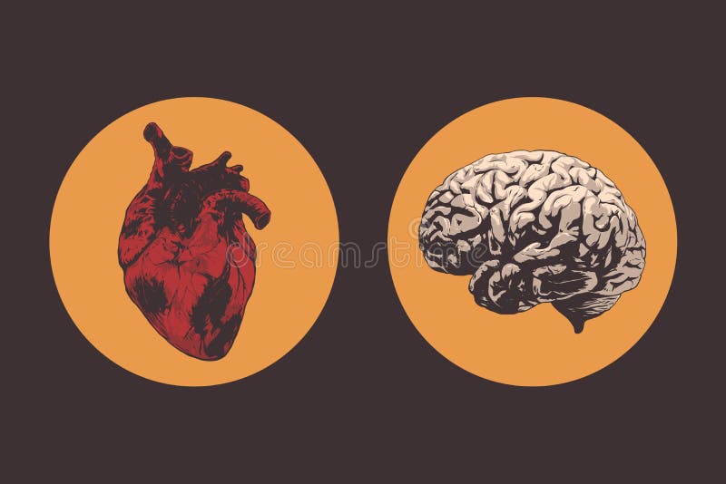 Heart Brain Vector Stock Illustrations – 16,191 Heart Brain Vector ...