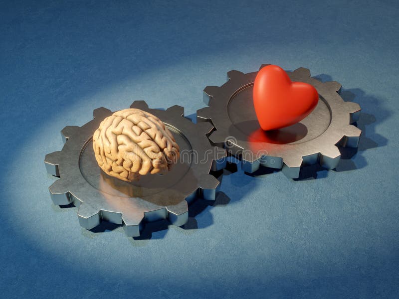 Heart and Brain Working Together Stock Illustration - Illustration of ...