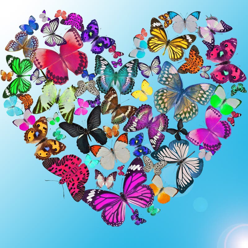 Heart of the butterflies stock illustration. Illustration of fashion ...