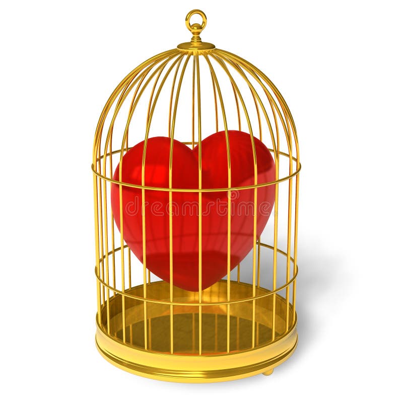 Heart in a cage stock illustration. Illustration of beautiful - 17984272