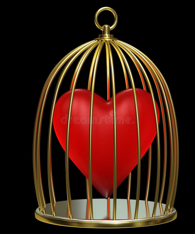 Heart in cage stock illustration. Illustration of secure - 23271878